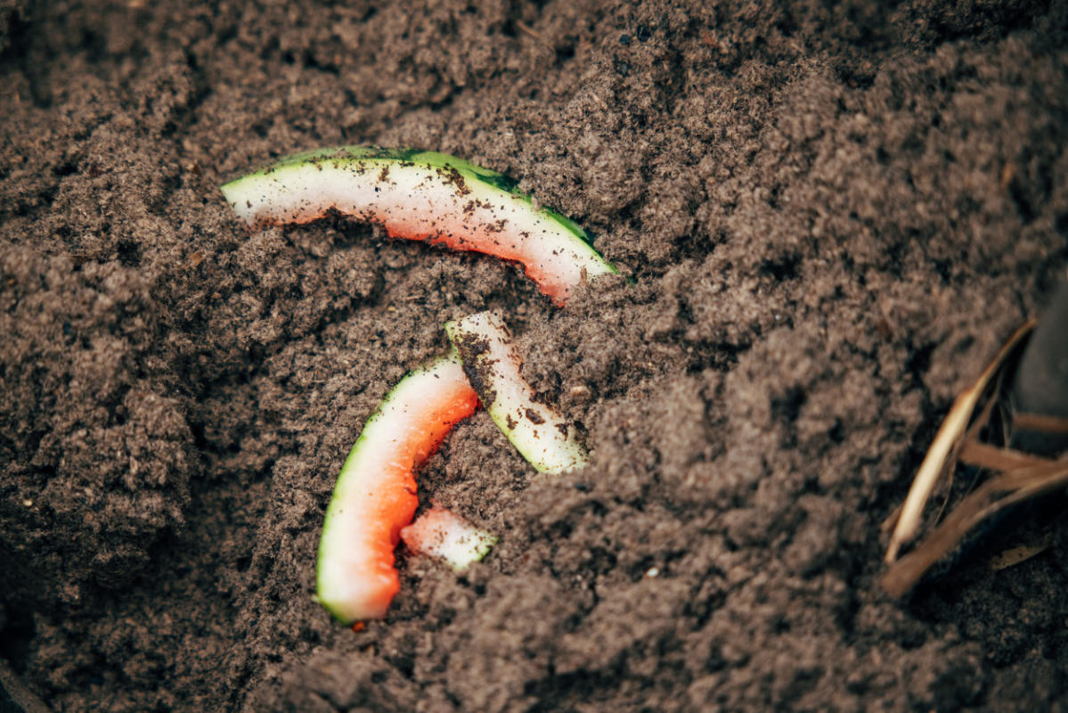 Vom Tisch in den Garten - Labor Tempelhof